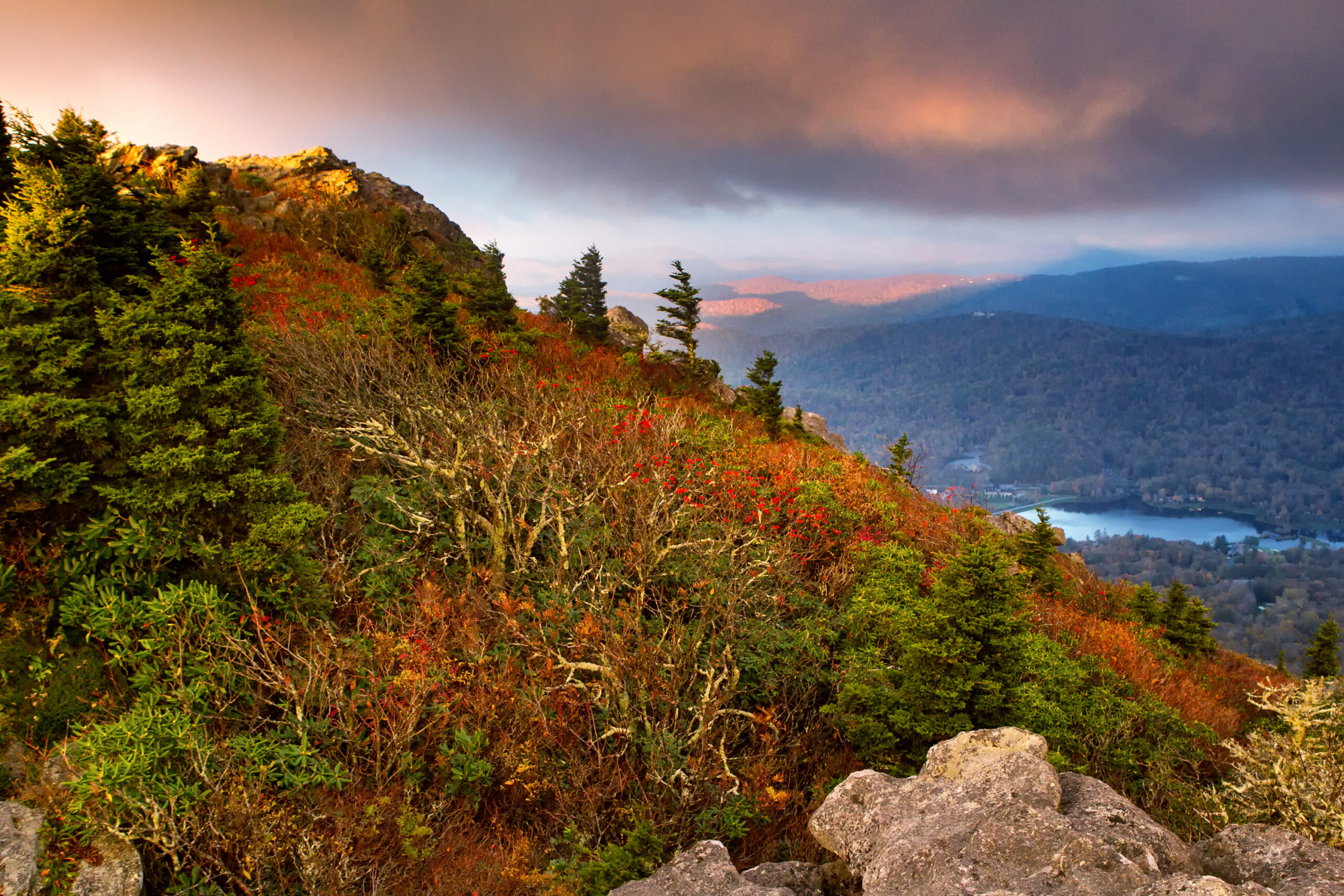 Carbon Additionality and Leakage in Forest Management: A How-To for U.S ...